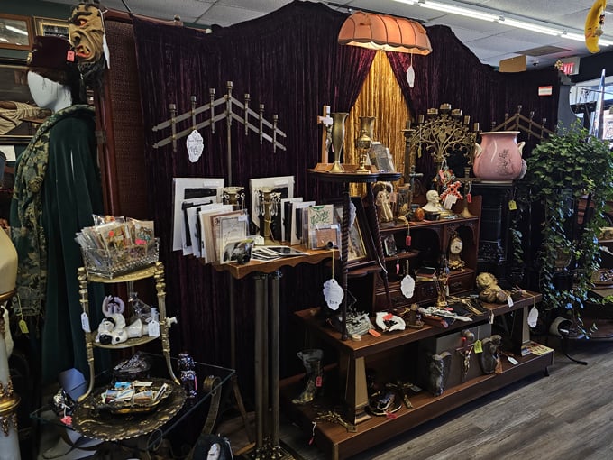 scavenged parts antiques + oddities 7