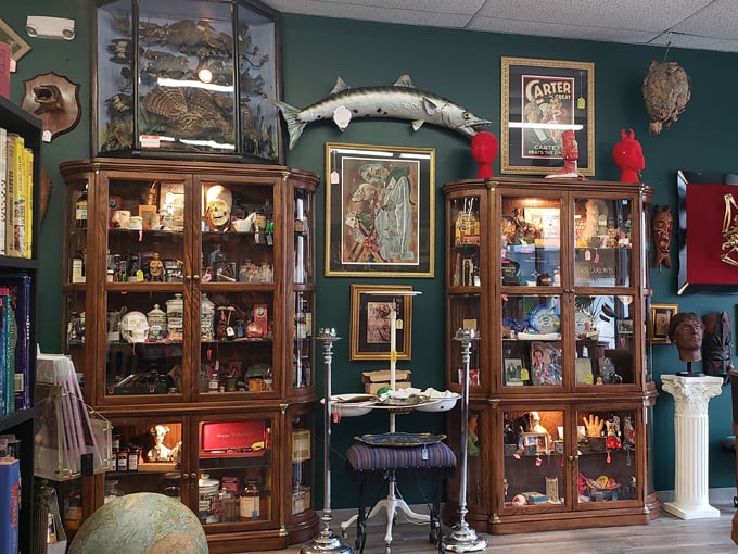 scavenged parts antiques + oddities 9