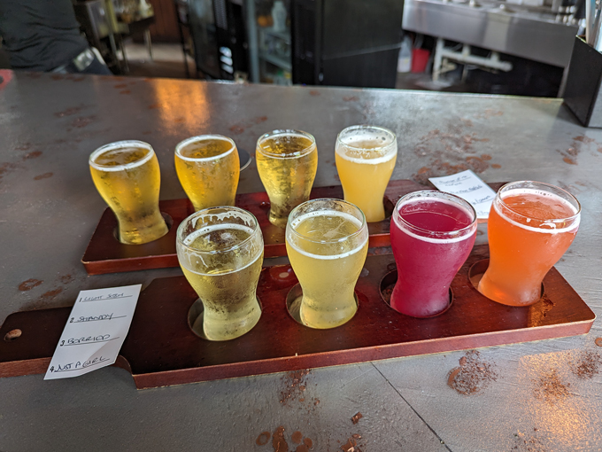 Sesh Brewing Company 6