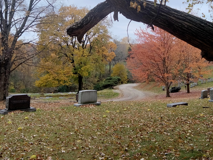 springdale cemetery 2