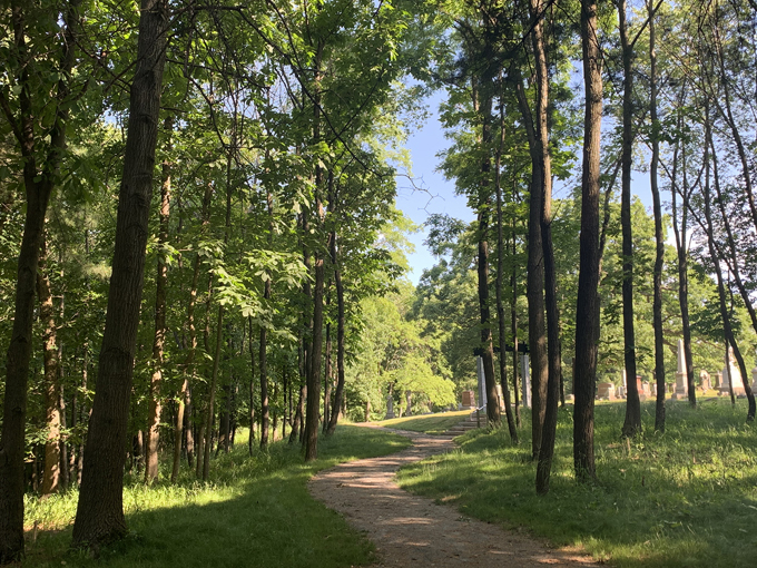 springdale cemetery 4