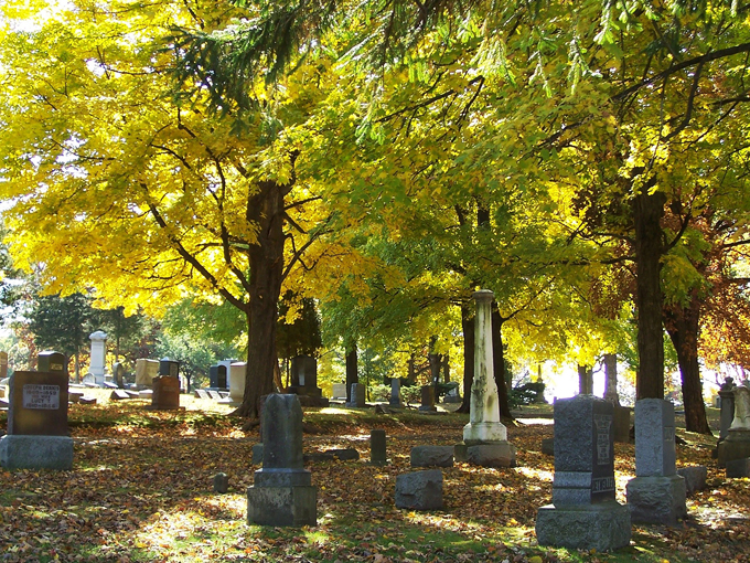 springdale cemetery 7