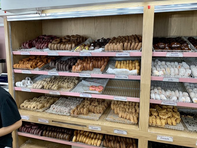 spunky dunkers donuts 5