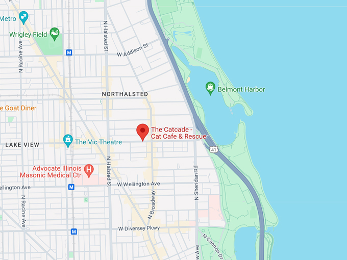 the catcade cat cafe & rescue 10 map