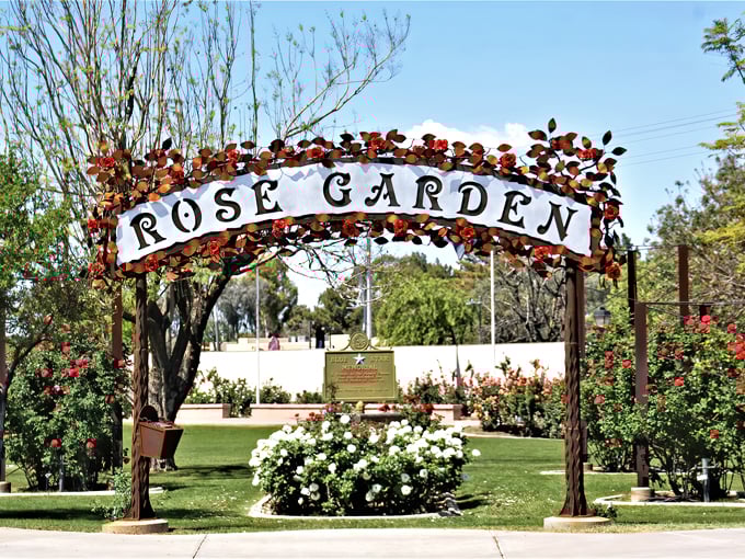 the rose garden at mcc 1