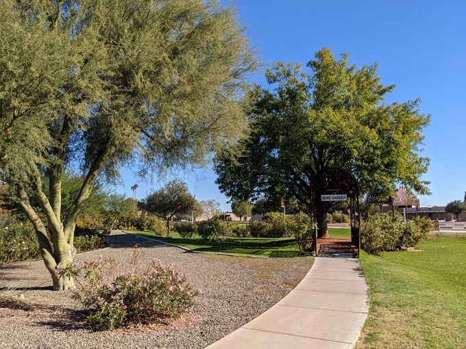 the rose garden at mcc 3