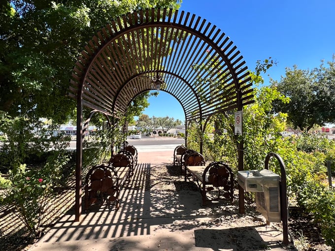 the rose garden at mcc 8