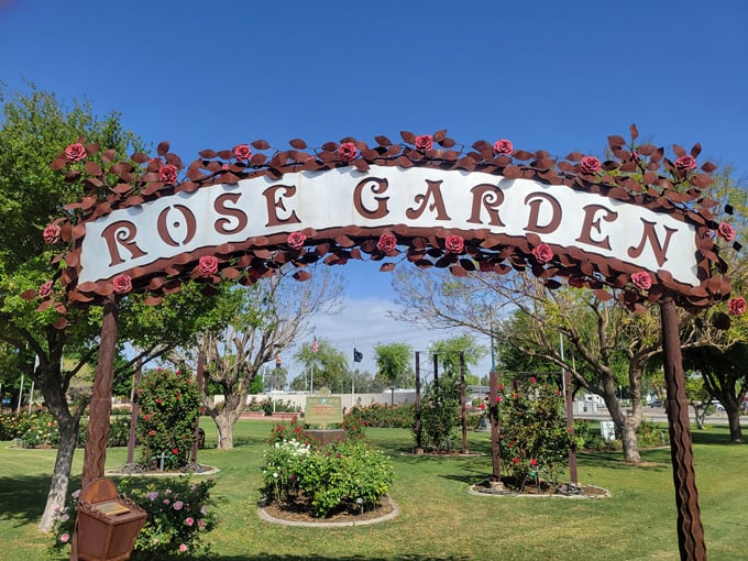 the rose garden at mcc 9