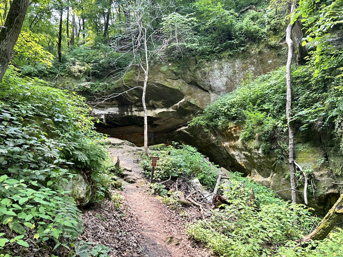 the sand cave trail in wyalusing state park (bagley)