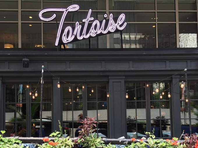 tortoise supper club 1