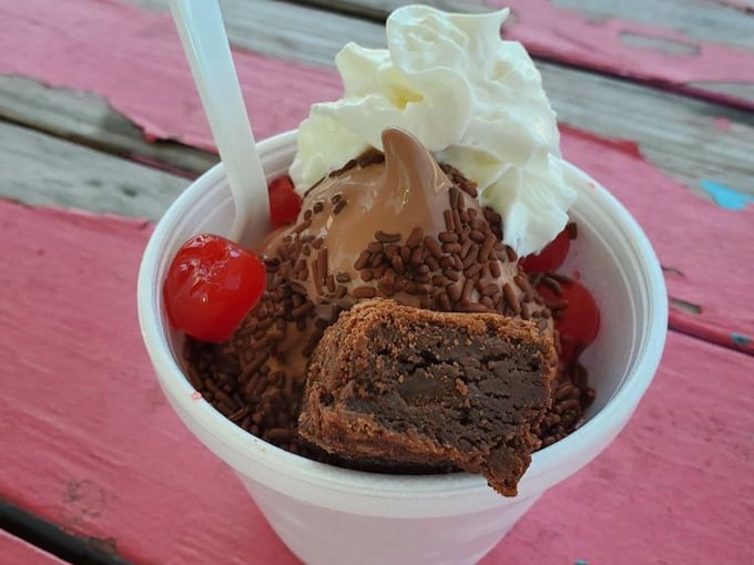 twistee treat diner at the pink elephant 6