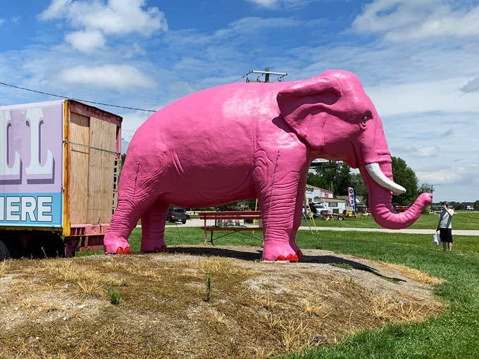 twistee treat diner at the pink elephant 6