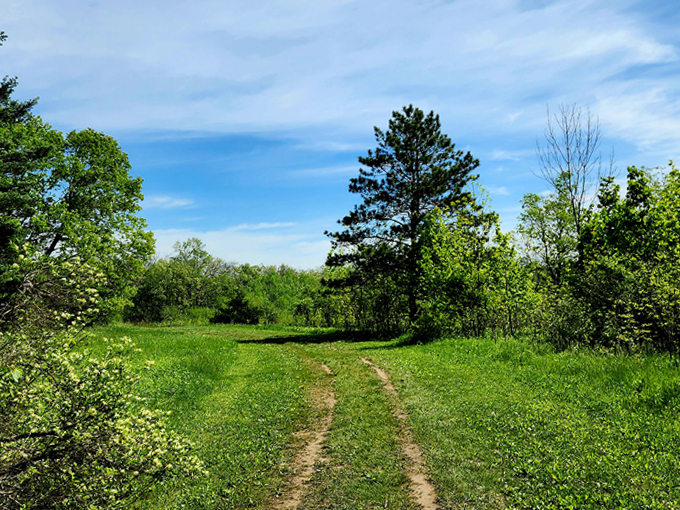 victoria on main bed and breakfast 3