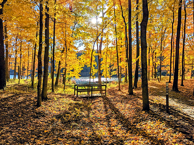 walnut point state park 1