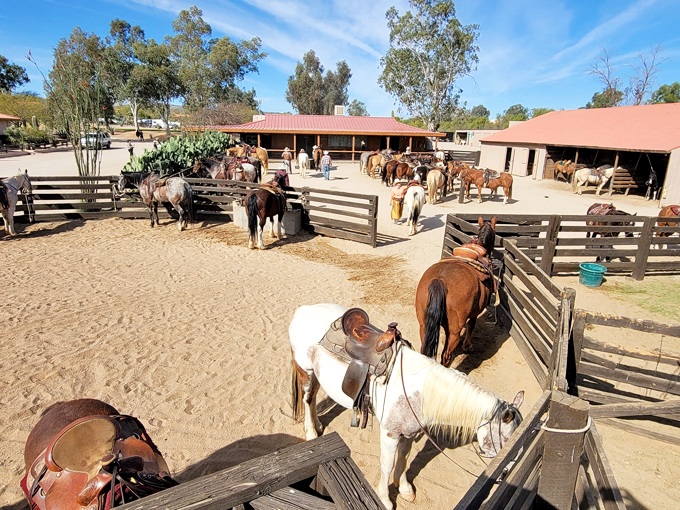 wickenburg, arizona 6