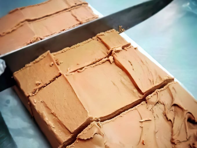 wisconsin dairyland fudge 4