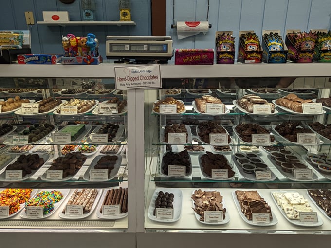 wisconsin dairyland fudge 9