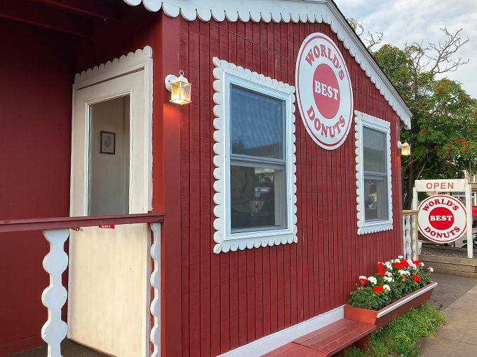 world&rsquo;s best donuts 1