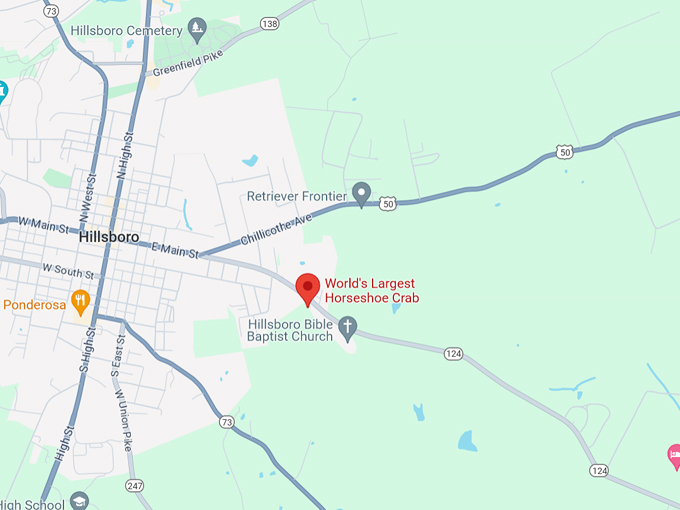 world's largest horseshoe crab 10 map