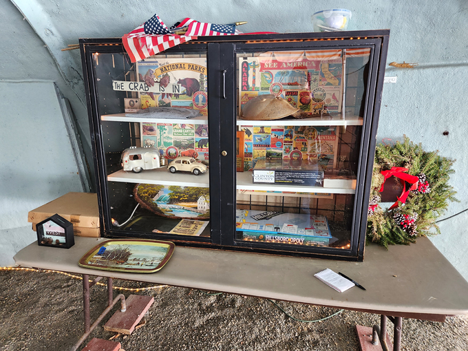 world's largest horseshoe crab 6