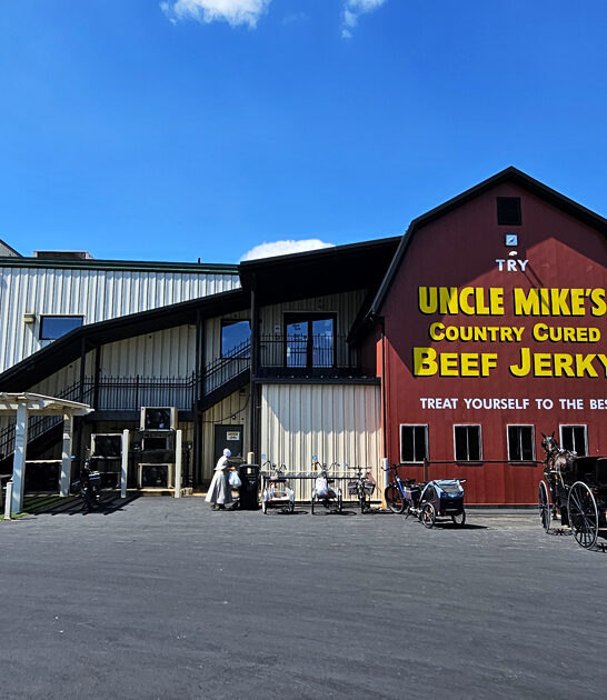 amish store ohio ftr