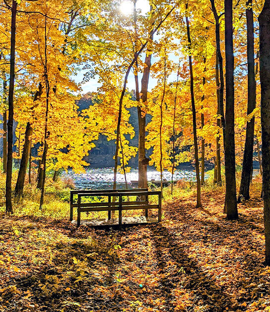 beautiful state park illinois ftr