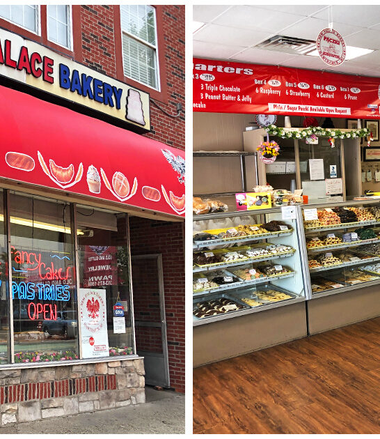 best-polish-donuts-michigan FTR