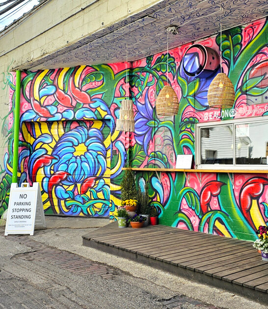 best vegan donuts illinois ftr