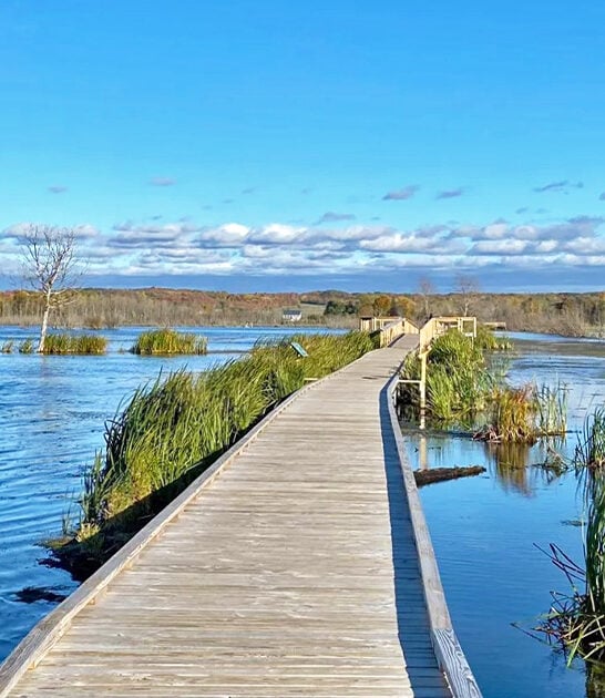breathtaking boardwalk trail michigan ftr
