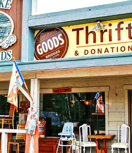 charming minnesota thrift store ftr