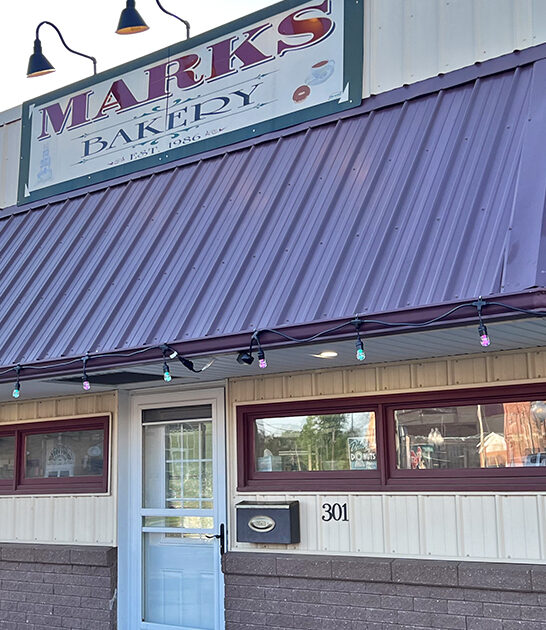 delicious donuts illinois bakery ftr