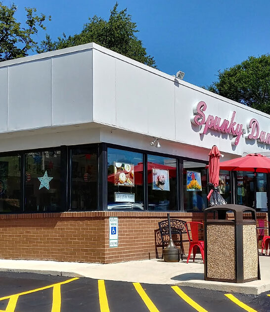 delicious donuts illinois shop ftr