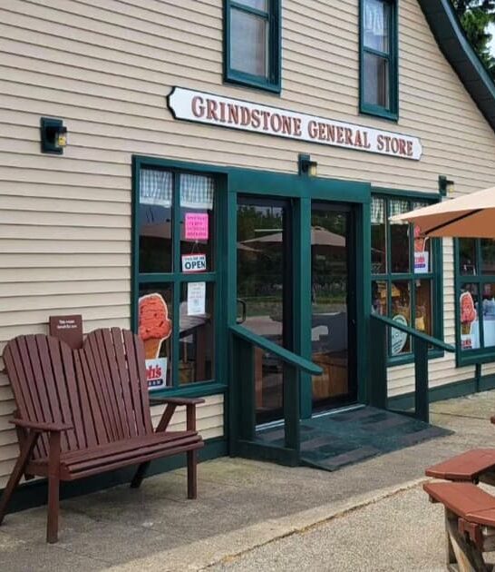 delicious ice cream michigan ftr