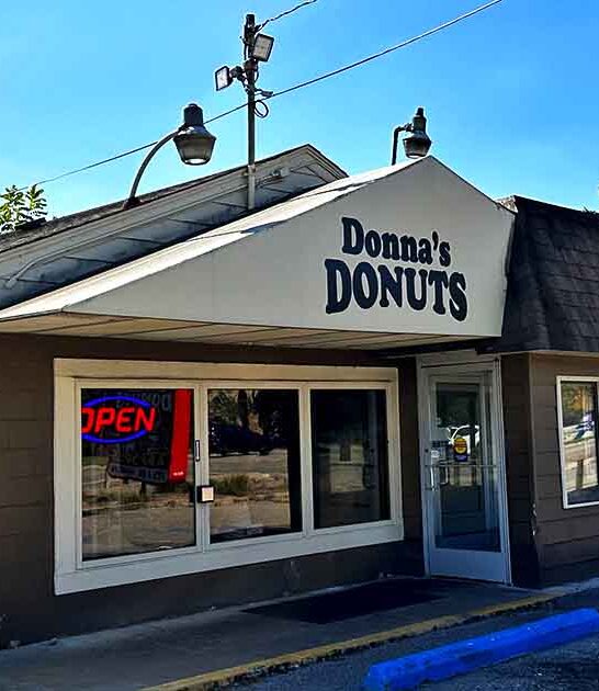 delicious michigan homemade donuts ftr