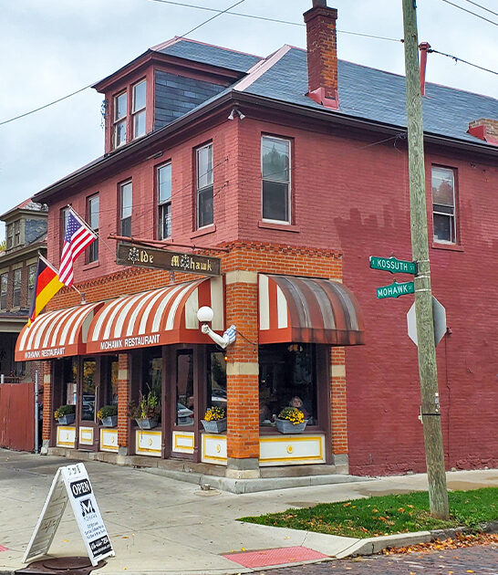 delicious turtle soup ohio ftr