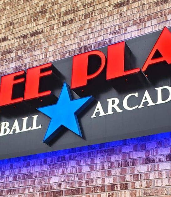 delightful michigan arcade bar ftr