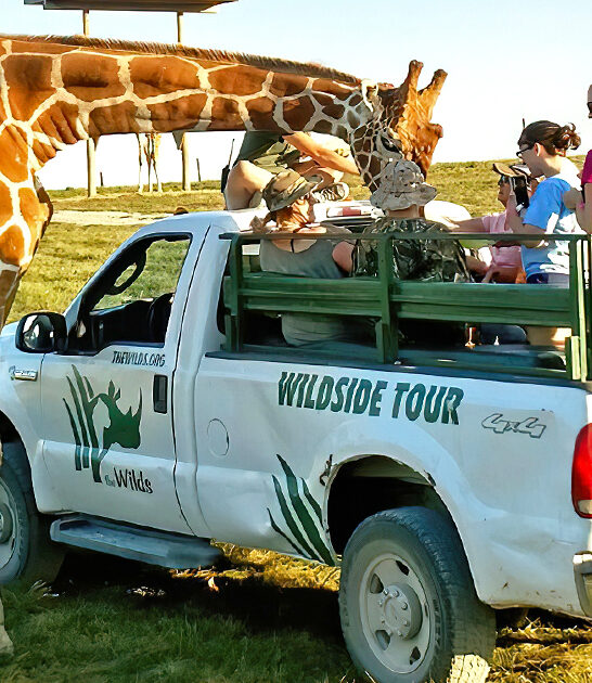 drive thru park ohio ftr