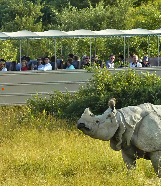 drive thru safari ohio ftr