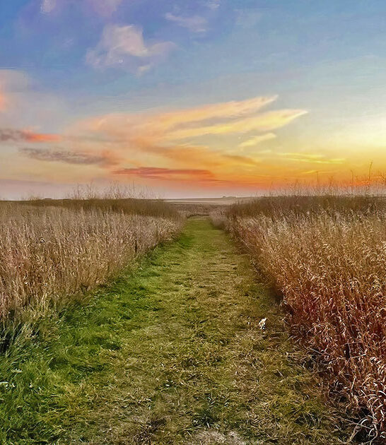 easy enchanting hike minnesota ftr