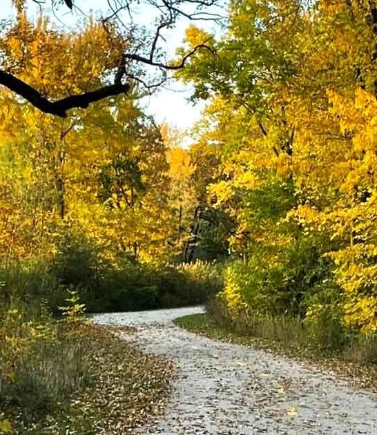easy loop trail illinois ftr