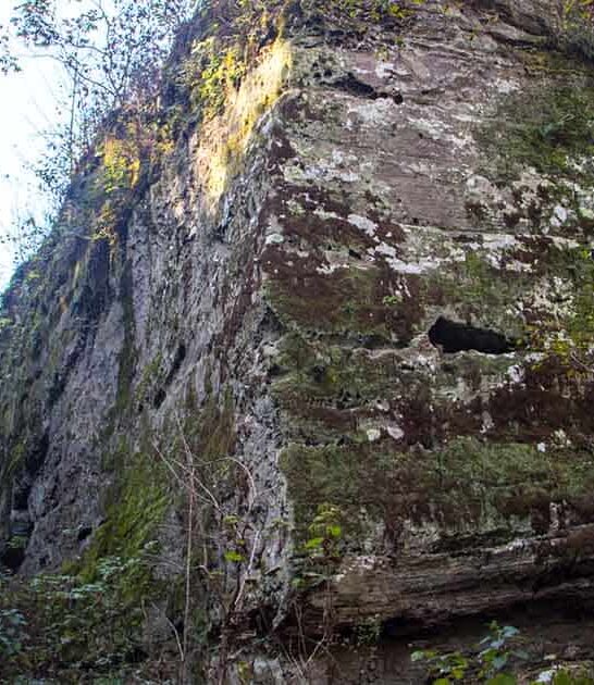 easy otherworldly trail illinois ftr