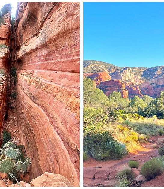 easy-short-hike-arizona ftr