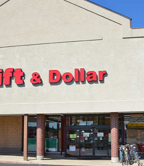 enormous illinois antique mall ftr