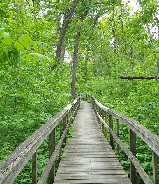 explore stunning scenery illinois ftr