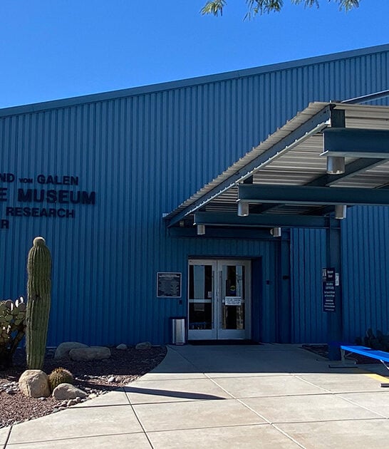 fascinating missile museum arizona ftr