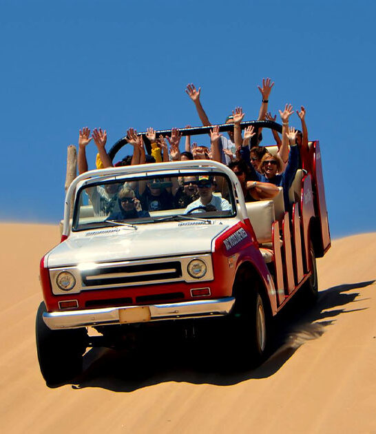 fun dune ride michigan ftr