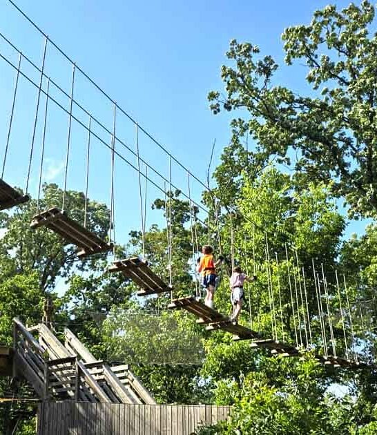 fun treetop adventure illinois ftr