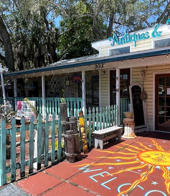funky antique store florida ftr
