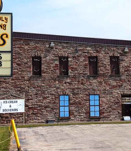 funky taxidermy restaurant michigan ftr