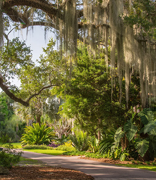 garden pathways waterfalls florida ftr